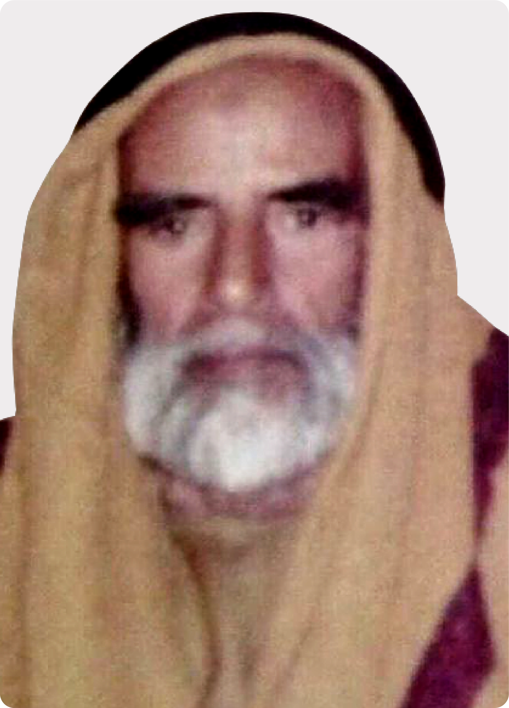 Sultan Bilyazyah Al Neyadi